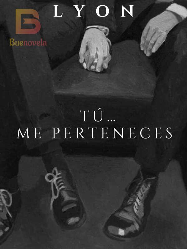 TU... ME PERTENECES PDF y novela en línea por Lyon para leer gratis ...
