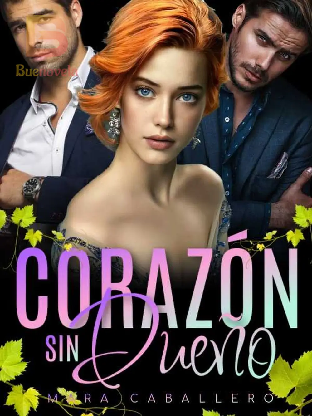 Corazón sin dueño de maracaballero para leer en línea gratis - BueNovela