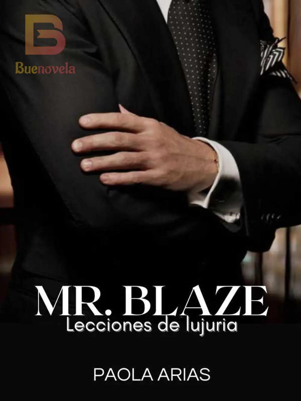 Mr. Blaze de Paola Arias para leer en línea gratis - BueNovela