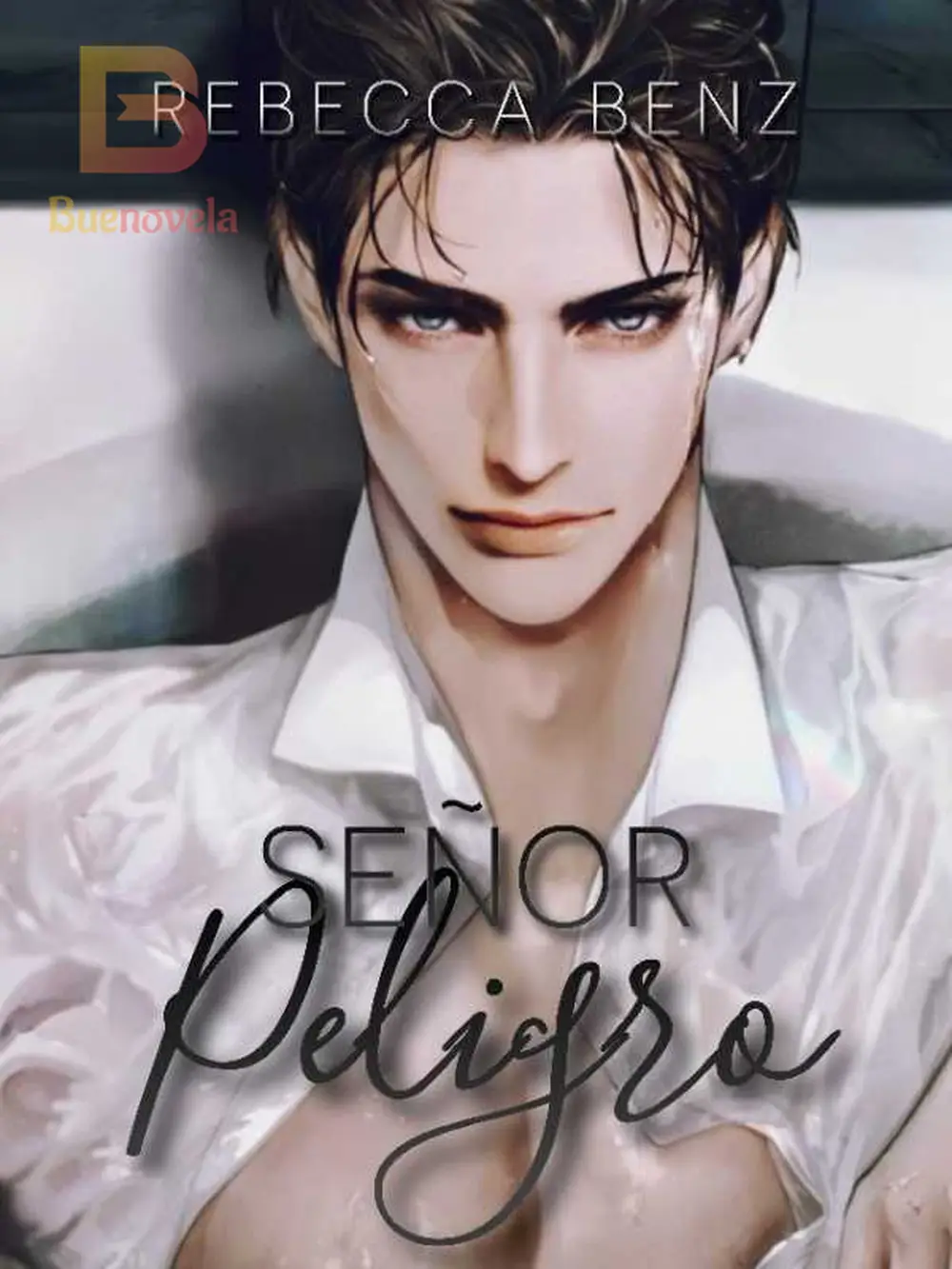 Señor Peligro de Rebeca Benítez para leer en línea gratis - BueNovela
