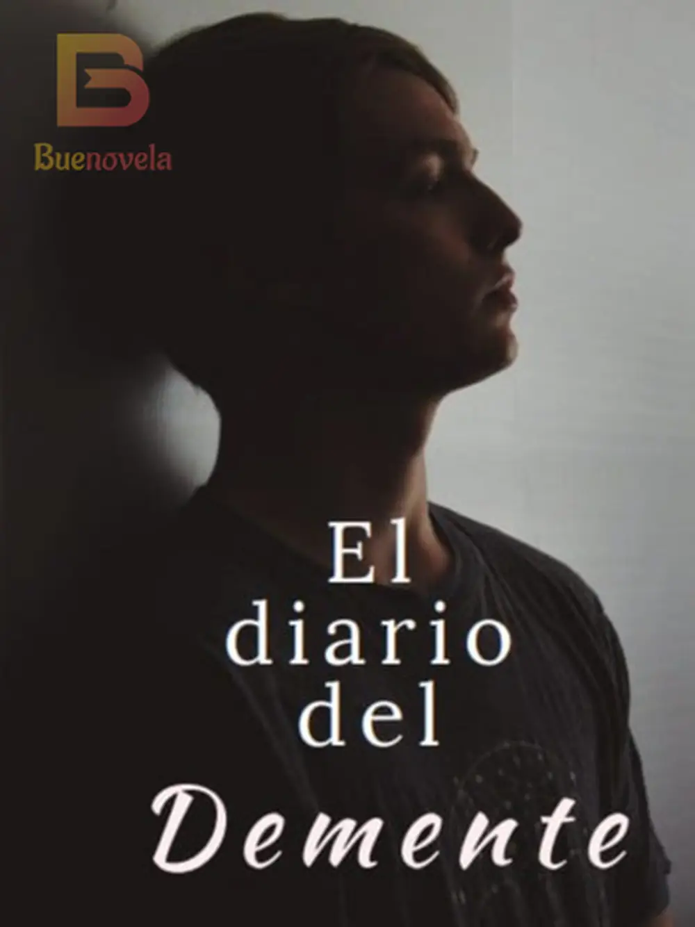 El diario del demente de Jack Dreamer para leer en línea gratis - BueNovela