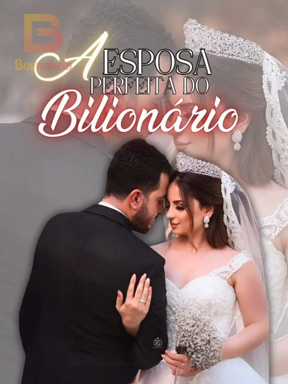 A Esposa Perfeita do Bilionário - Capítulo 92 Novela e PDF Online por Ana Elói | Leia Romance ...