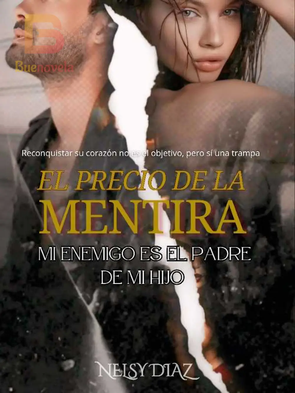 El precio de la mentira: Mi enemigo es el padre de mi hijo - Capítulo 169. Novela y PDF en línea ...