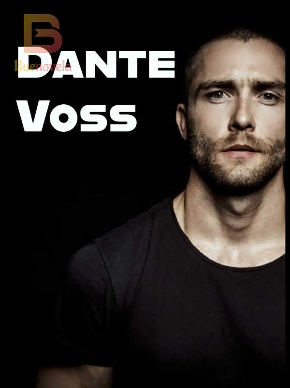 DANTE VOSS - 33-SOSPECHOSO. Novela y PDF en línea por Mer Val | Leer Romance Historias por ...