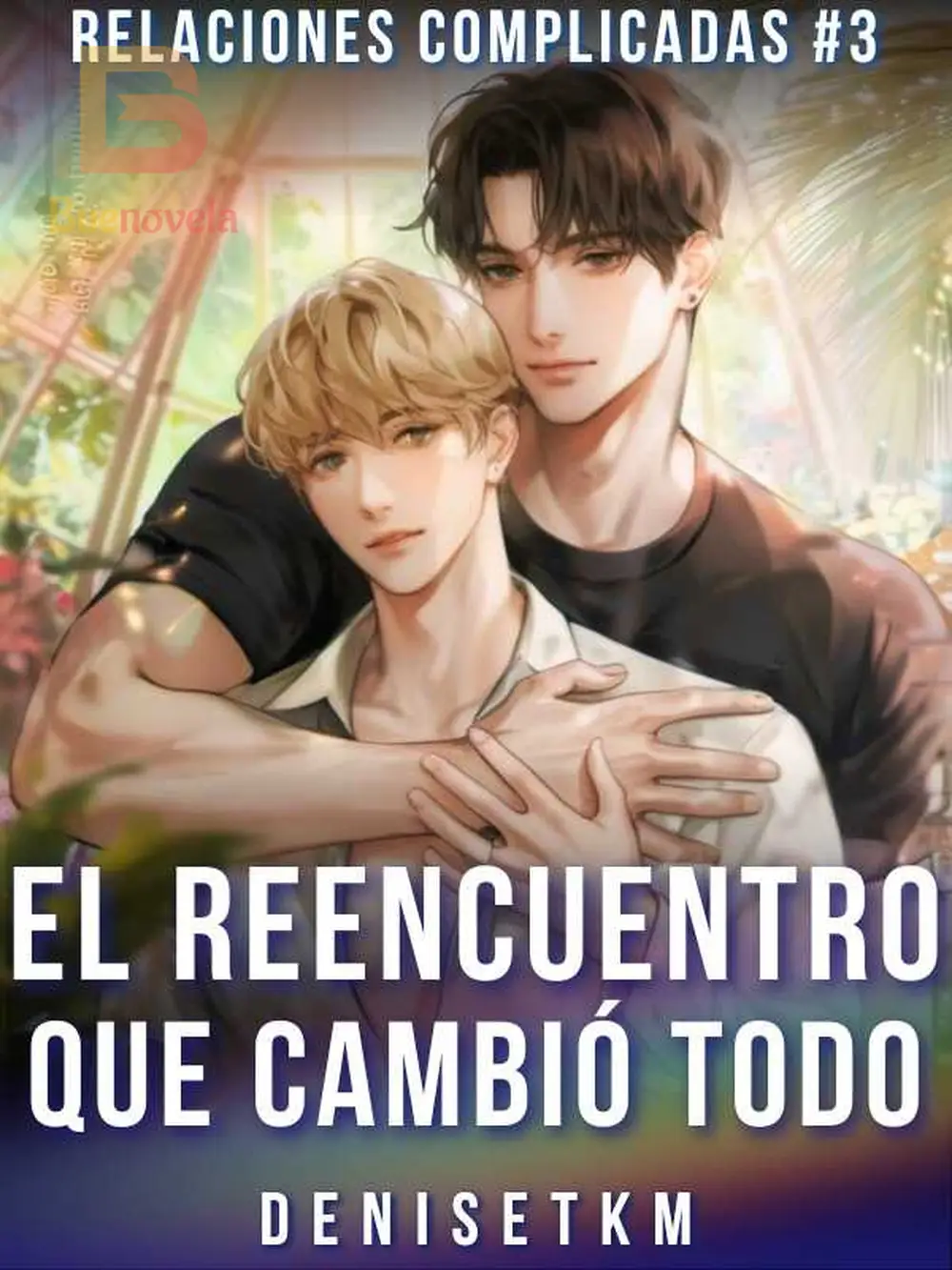 El Reencuentro Que Cambió Todo (Relaciones Complicadas 3) - 95 Novela y ...