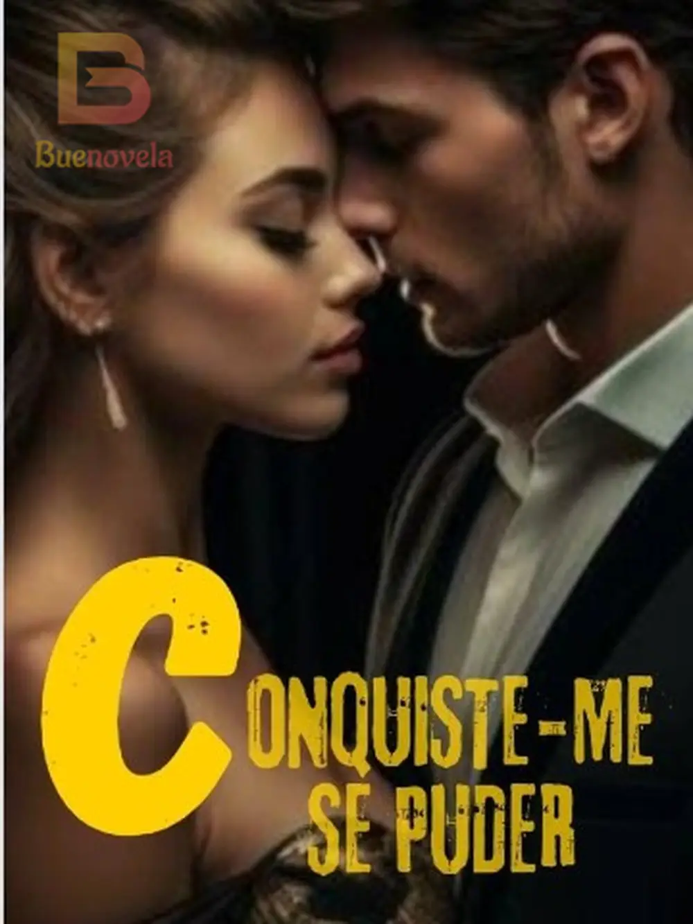 Conquiste-me Se Puder - Meu amor quer namorar comigo de novo? Novela e PDF Online por Tyna ...