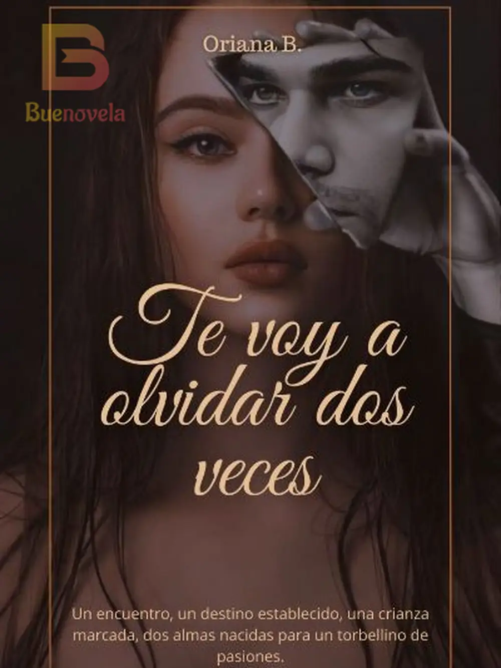 Te voy a olvidar dos veces - Un hombre determinado Novela y PDF en línea por Oriana B. | Leer ...