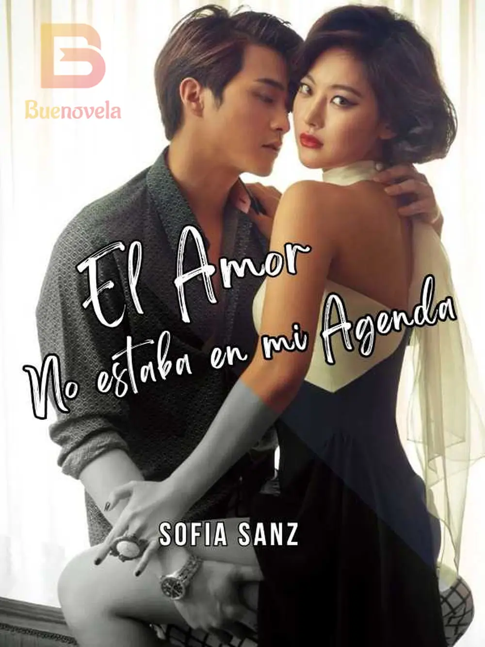 El amor no estaba en mi Agenda de Sofia Sanz para leer en línea gratis - BueNovela