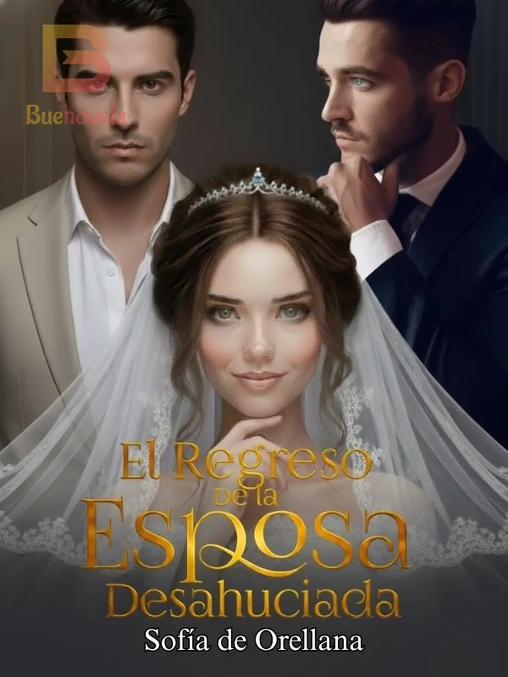El regreso de la Esposa Desahuciada - Capítulo 16: Lo que le sigue a furioso Novela y PDF en ...